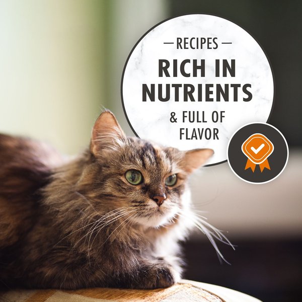 NUTRO Wholesome Essentials Chicken & Brown Rice Recipe Senior Dry Cat Food, 3-lb bag - Chewy.com