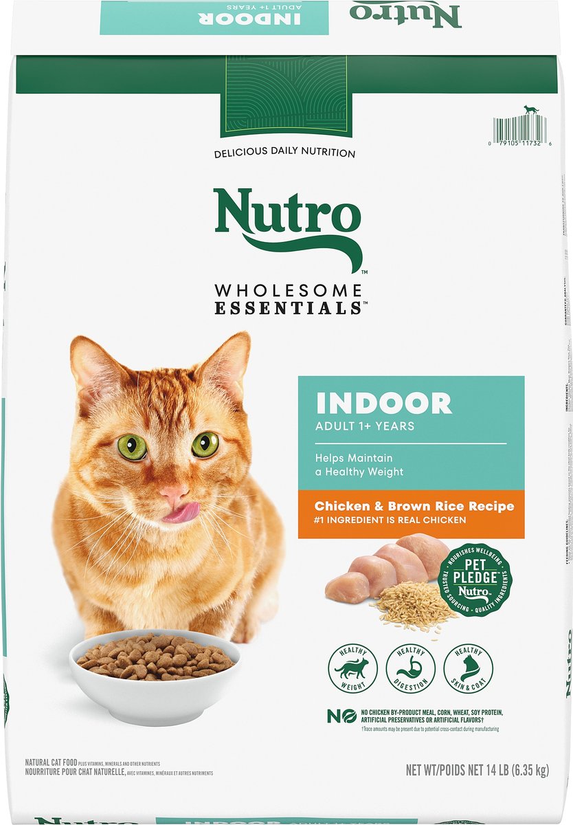NUTRO Wholesome Essentials Chicken & Brown Rice Recipe Indoor Dry Cat ...