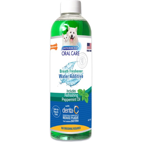 VETOQUINOL Dentahex Dog & Cat Dental Rinse, 8-fl oz bottle - Chewy.com