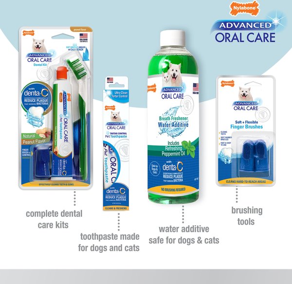 NYLABONE Advanced Oral Care Original Flavor Cat Dental Kit, 3 count ...