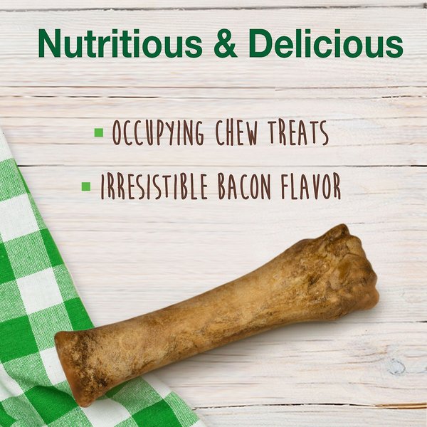 NYLABONE Healthy Edibles All-Natural Long Lasting Bacon Dog Chew Treats ... NYLABONE Healthy Edibles All-Natural Long Lasting Bacon Dog Chew Treats ...