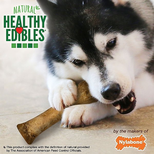 NYLABONE Healthy Edibles All-Natural Long Lasting Bacon Dog Chew Treats ... NYLABONE Healthy Edibles All-Natural Long Lasting Bacon Dog Chew Treats ...