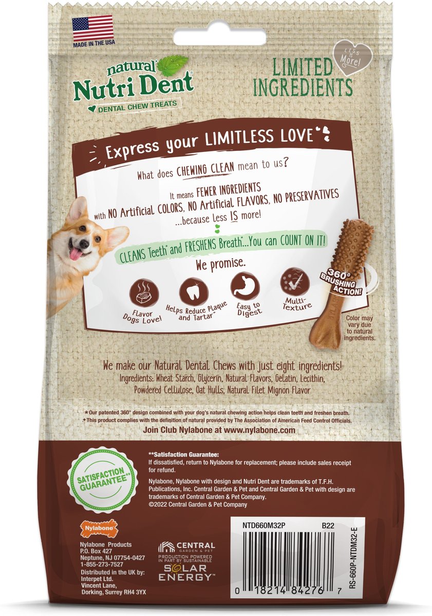 NYLABONE Nutri Dent Filet Mignon Flavored Dog Dental Chews, Regular ...