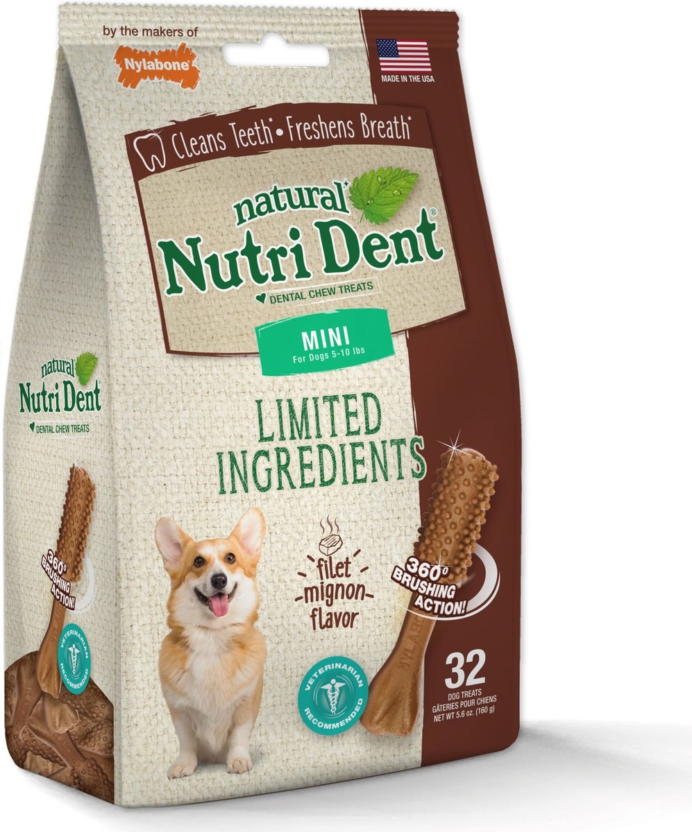 NYLABONE Nutri Dent Filet Mignon Flavored Dog Dental Chews, Regular ...