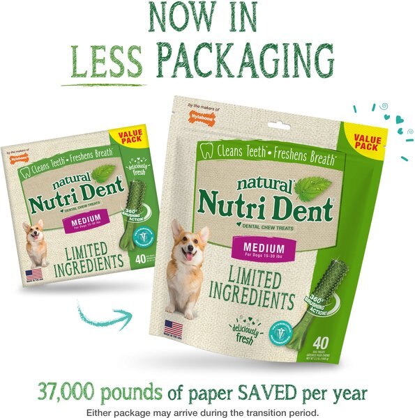 NYLABONE Nutri Dent Natural Dental Fresh Breath Flavored Chew Treat ...