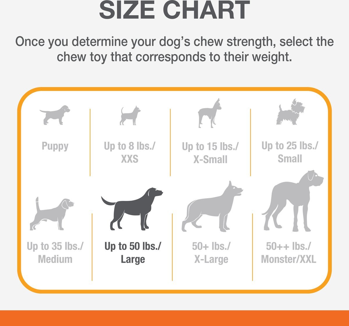 NYLABONE Power Chew Broccoli Dog Toy Bacon Cheese, Large - Chewy.com