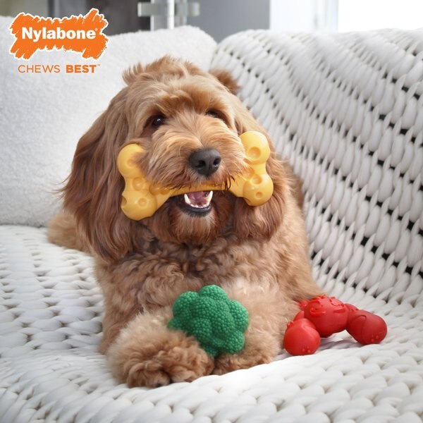 NYLABONE Power Chew Lobster, Cheese, & Broccoli Dog Chew Toy Bundle ...
