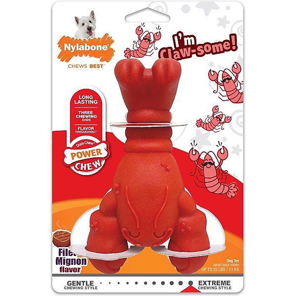NYLABONE Power Chew Lobster Dog Toy, Red, Small - Chewy.com