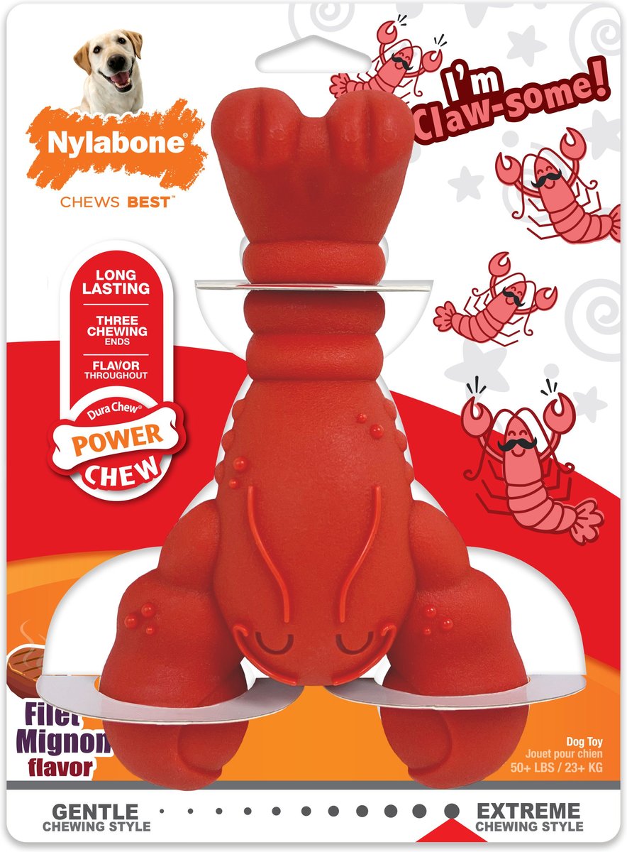 NYLABONE Power Chew Lobster Dog Toy, Red, X-Large - Chewy.com