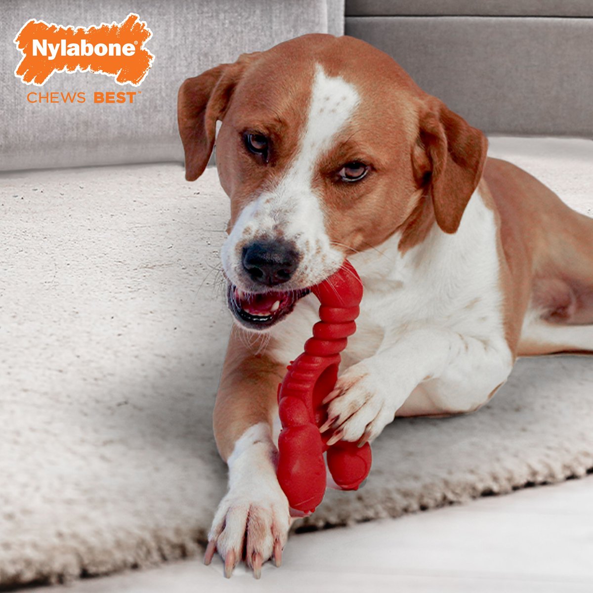 NYLABONE Power Chew Lobster Dog Toy, Red, X-Large - Chewy.com