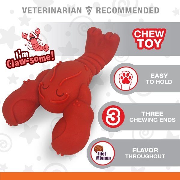 NYLABONE Power Chew Lobster Dog Toy, Red, X-Large - Chewy.com