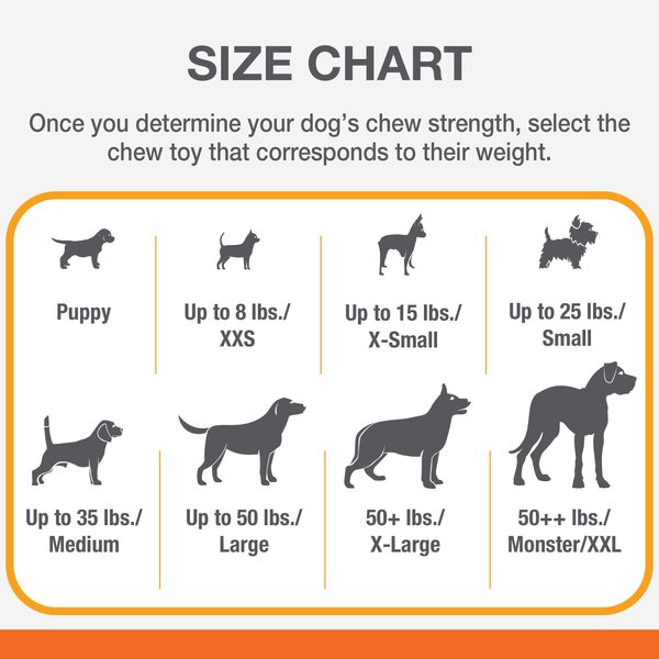 NYLABONE Power Chew Vanilla Cookie Holiday X Dog Bone Chew Toy, Large ...