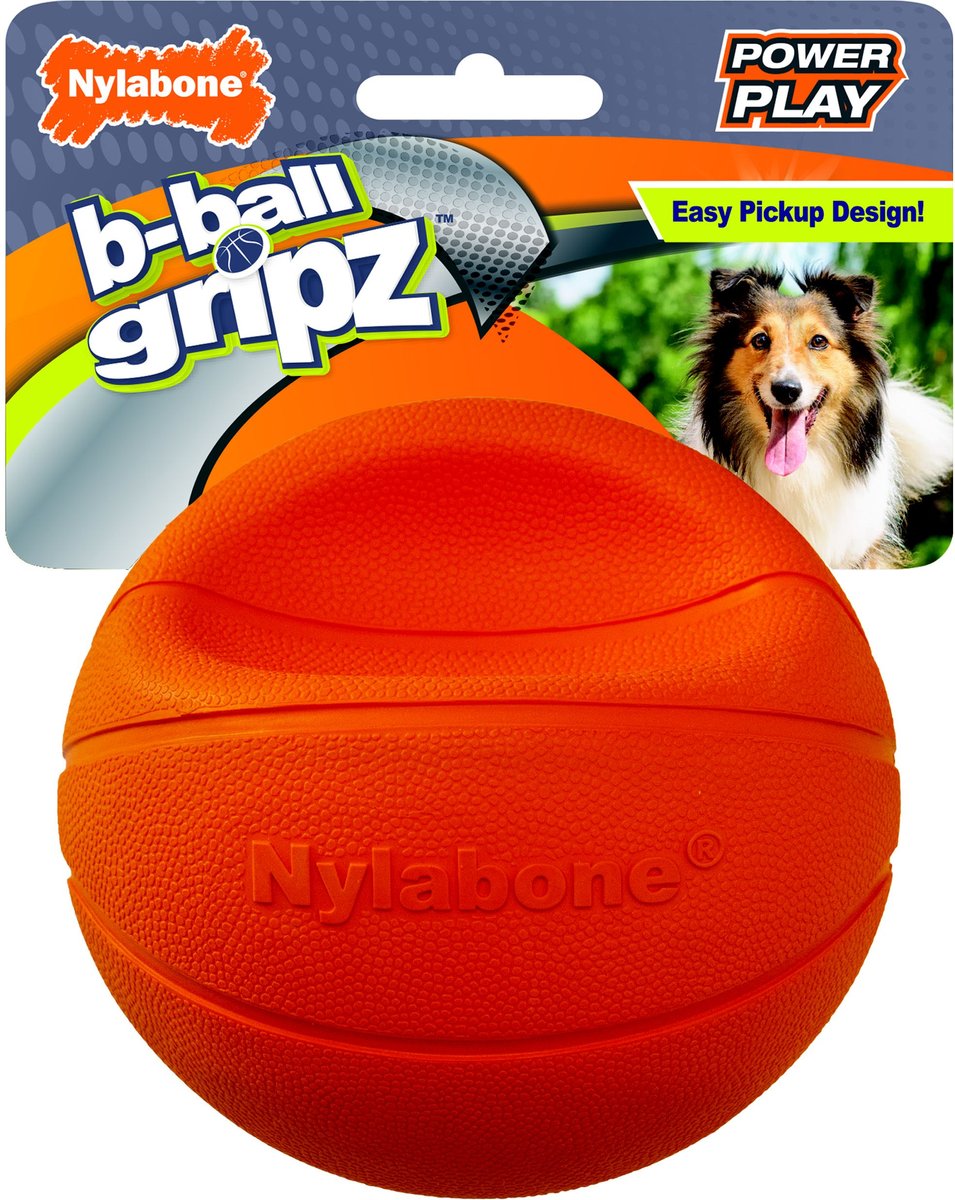 NYLABONE Power Play Basketball B-Ball Gripz Dog Toy, Medium - Chewy.com