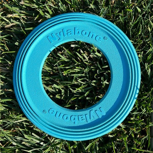 Out of Stock - NYLABONE Power Play Super Flyer Puppy Toy, Blue - Chewy.com