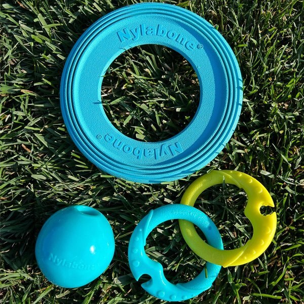 Out of Stock - NYLABONE Power Play Super Flyer Puppy Toy, Blue - Chewy.com