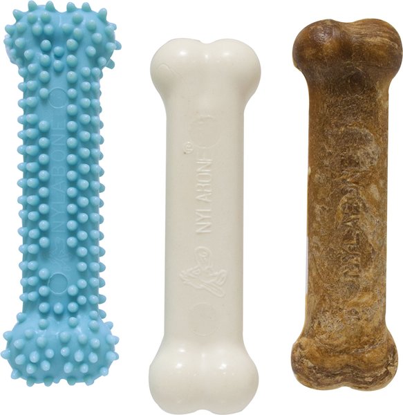 NYLABONE Puppy Chew Variety Toy & Treat Triple Pack Blue, Small - Chewy.com