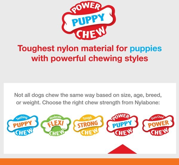 NYLABONE Puppy Power Chew Knuckle Bone & Pop-In Puppy Treat Toy Combo ...