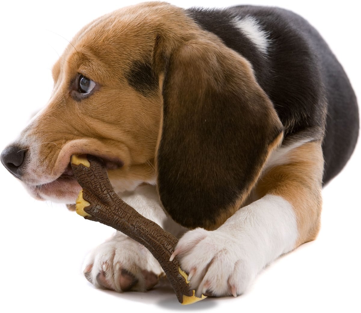 NYLABONE Strong Chew Real Wood Dog Stick Toy Maple Bacon, Medium ...