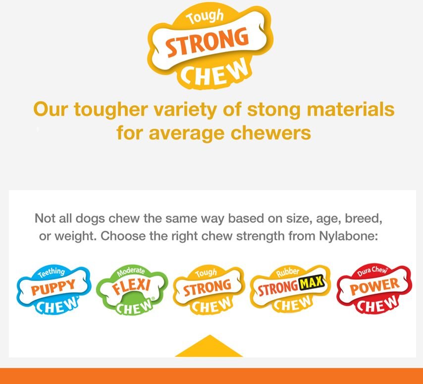 NYLABONE Strong Chew Real Wood Dog Stick Toy Maple Bacon, X-Large ...