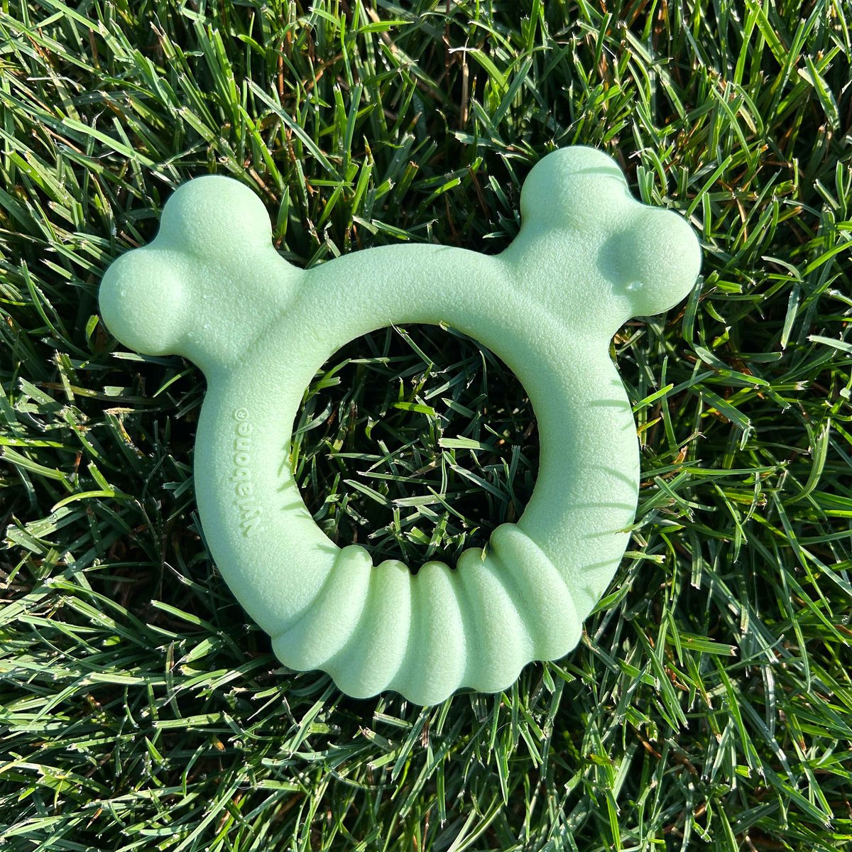NYLABONE Teething Ring Puppy Chew Toy, Green - Chewy.com