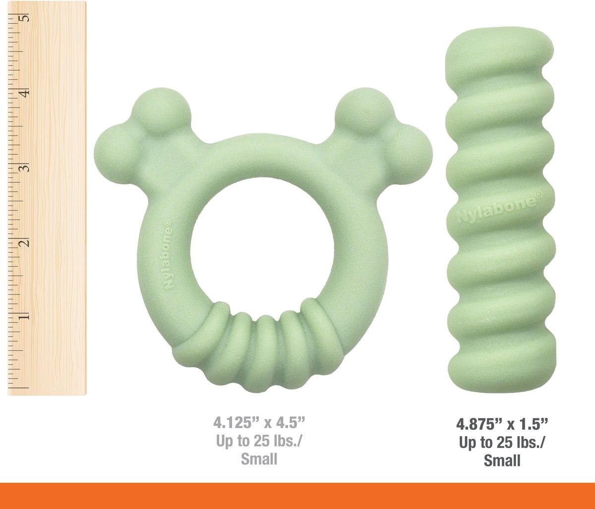 NYLABONE Teething Stick Puppy Chew Toy, Green - Chewy.com