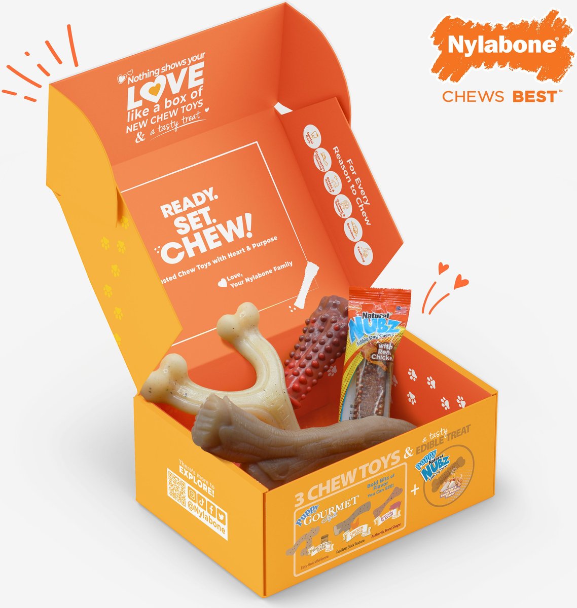 NYLABONE The Box Chew Toy & Treat Gift Box for Large Dogs - Chewy.com