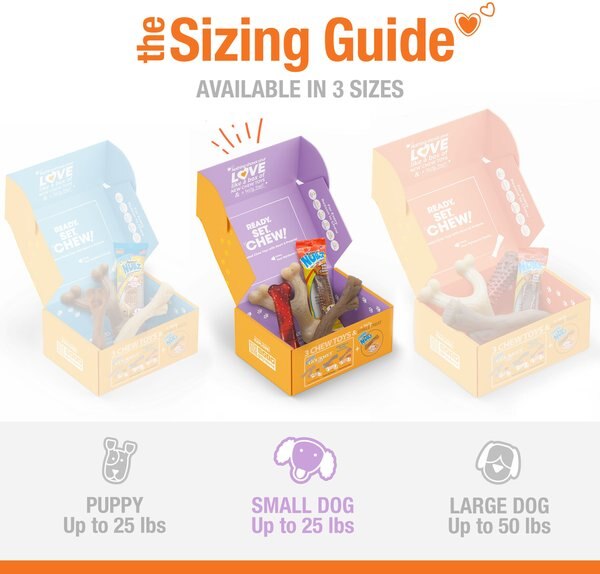 NYLABONE The Box Chew Toy & Treat Gift Box for Small Dogs, Small, Red ...