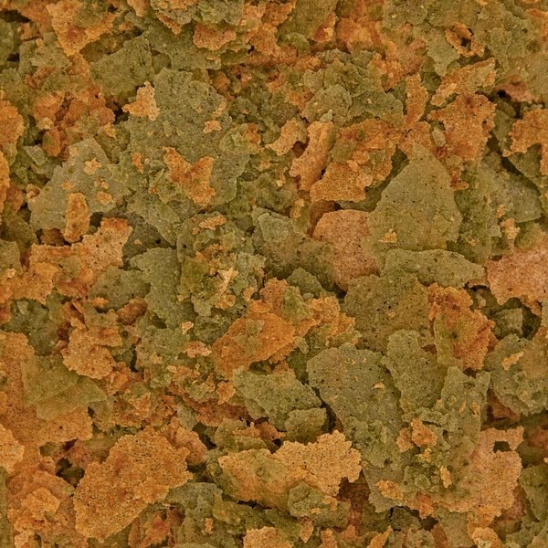 OCEAN NUTRITION Cichlid Vegi Flake Fish Food, 2.5-oz jar - Chewy.com