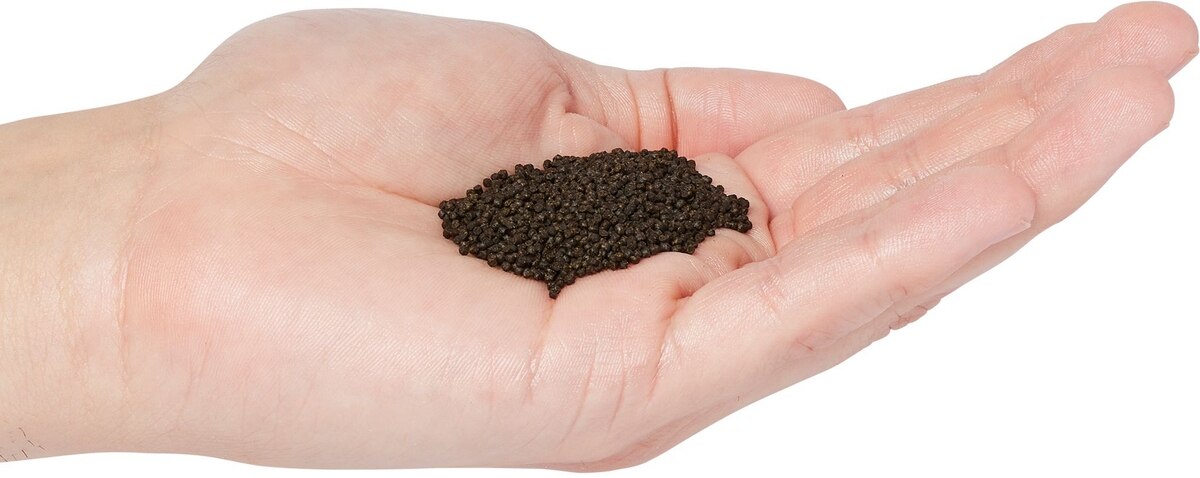 Discontinued - OCEAN NUTRITION Formula Two Pellets Small Fish Food, 3.5 ...