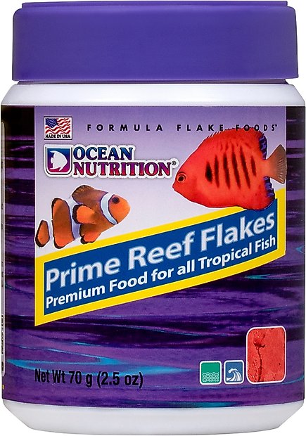 Bottom Feeder Fish Food | Chewy