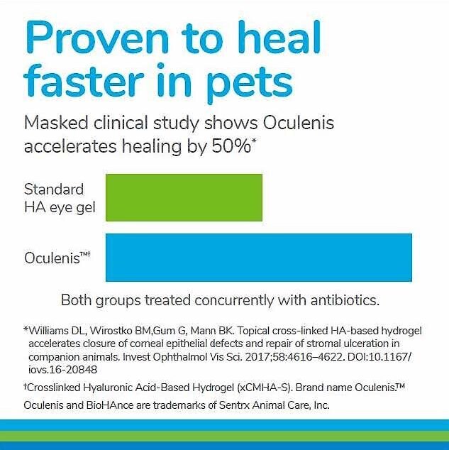 OCULENIS Ocular Repair Gel for Dogs & Cats, 3 mL - Easy Refills | Chewy Rx