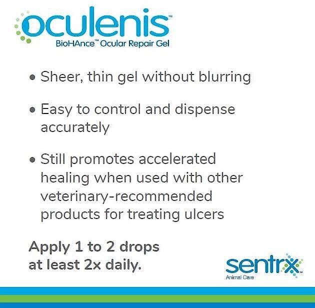 OCULENIS Ocular Repair Gel for Dogs & Cats, 3 mL - Easy Refills | Chewy Rx
