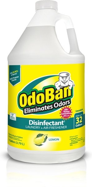 ODOBAN Concentrate Lemon Disinfectant, 1-gal - Chewy.com