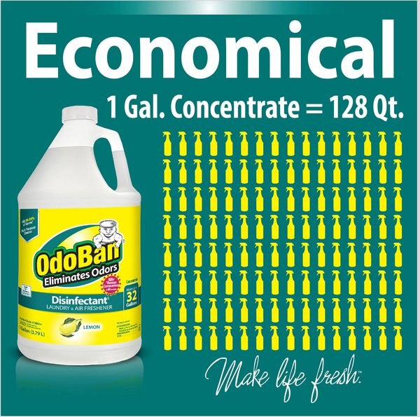 ODOBAN Concentrate Lemon Disinfectant, 1-gal - Chewy.com