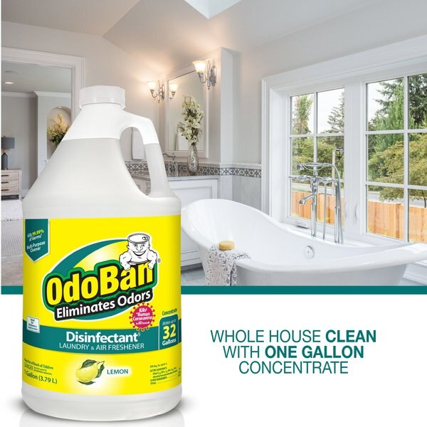 ODOBAN Concentrate Lemon Disinfectant, 1-gal - Chewy.com