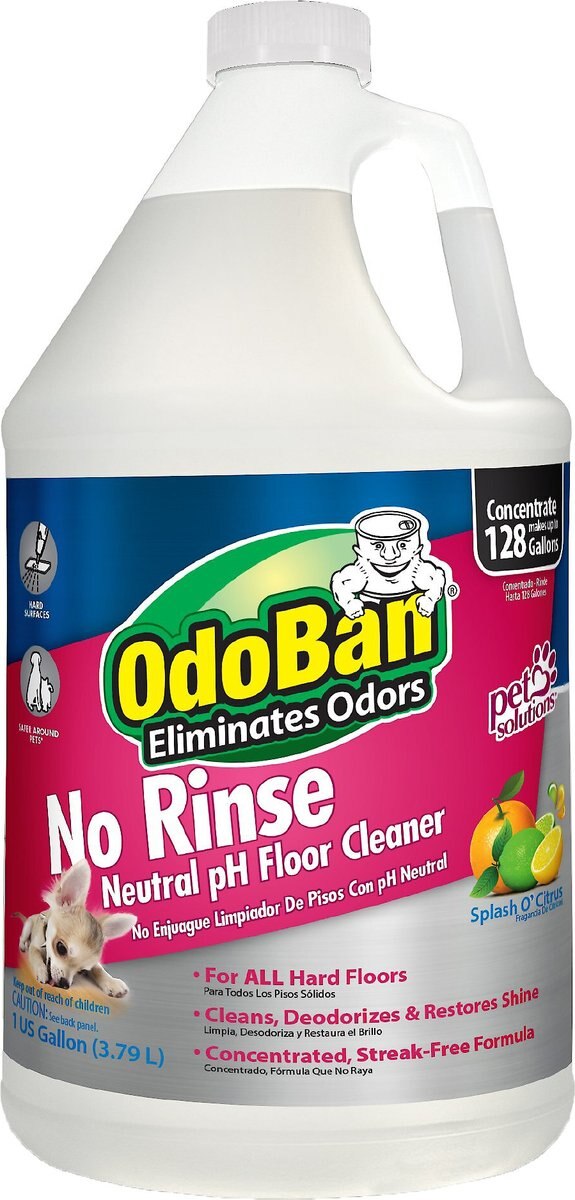 ODOBAN No Rinse Neutral pH Floor Cleaner, Citrus Scent, 1-gal bottle ...