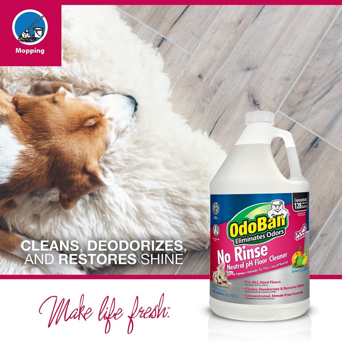 ODOBAN No Rinse Neutral pH Floor Cleaner, Citrus Scent, 1-gal bottle ...