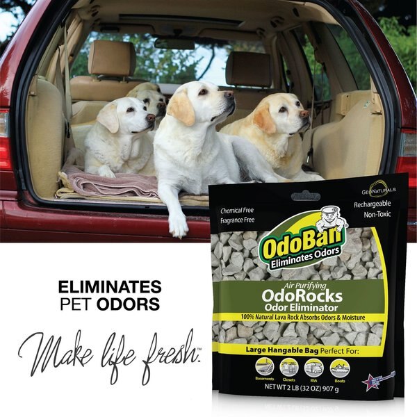 ODOBAN OdoRocks Odor Eliminator Deodorizer, 2-lb bag - Chewy.com