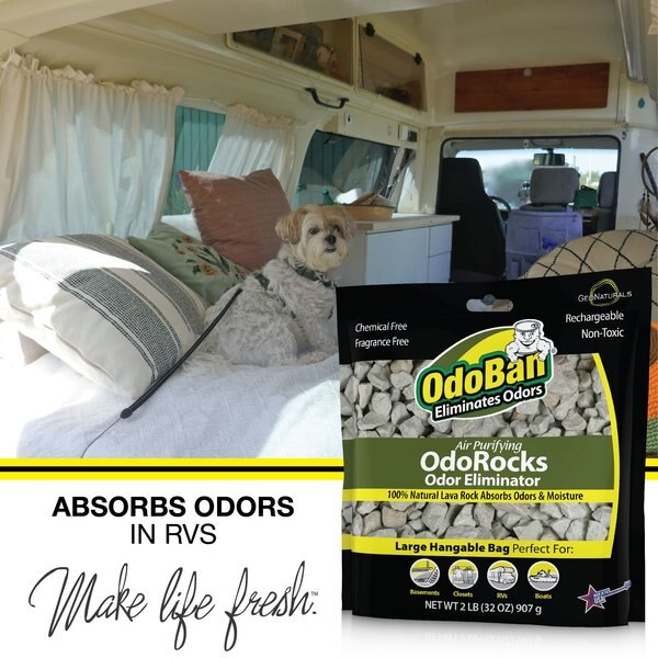 ODOBAN OdoRocks Odor Eliminator Deodorizer, 2-lb bag - Chewy.com