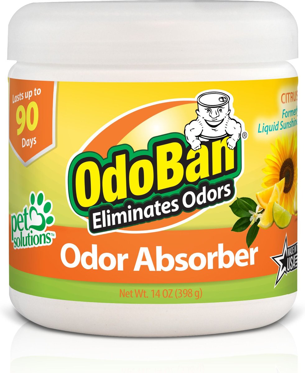ODOBAN Solid Odor Absorber Citrus Deodorizer, 14-oz jar - Chewy.com