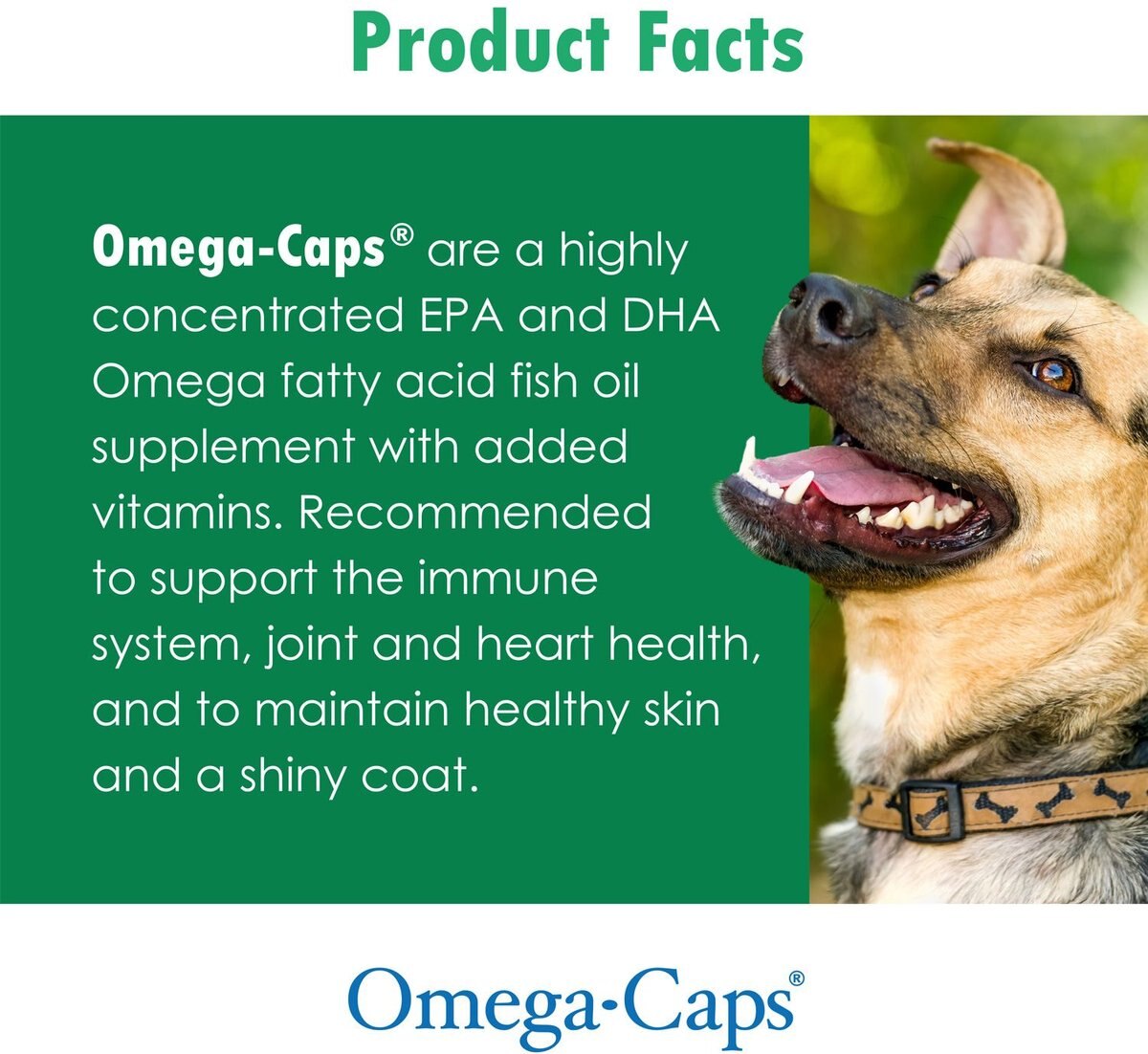 OMEGA-CAPS Softgel Capsules for Cats & Small Dogs, 60 count - Chewy.com