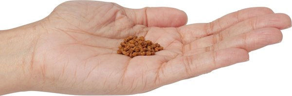 OMEGA ONE Super Color Floating Pellets Tropical Fish Food, 6.5-oz jar ...