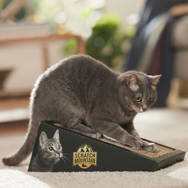 OMEGA PAW Cat Scratching Mountain, Black - Chewy.com