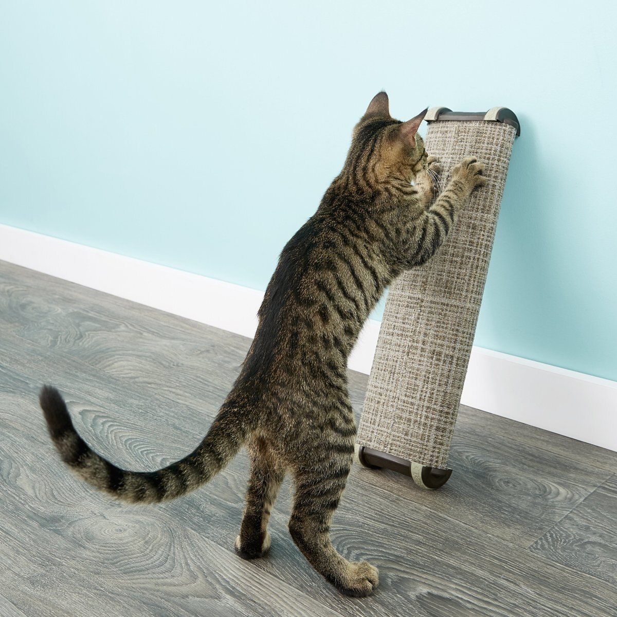 OMEGA PAW Lean-It Anywhere Cat Scratch Post, Regular, 19-in - Chewy.com