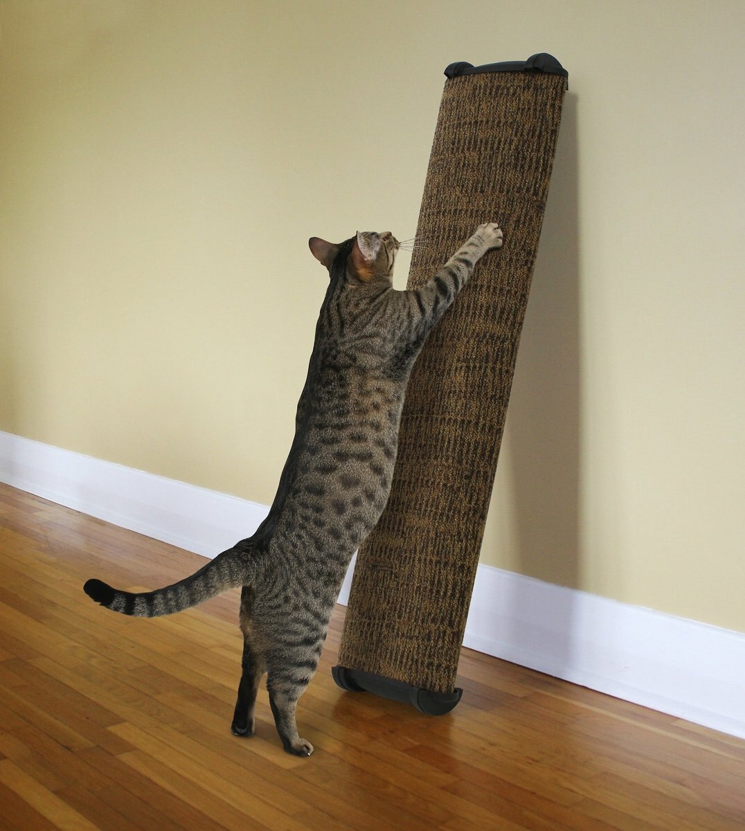 OMEGA PAW Lean-It Anywhere Cat Scratch Post, Wide, 38-in - Chewy.com