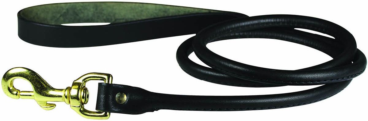 OMNIPET Round Latigo Leather Dog Leash, Black, 4-ft - Chewy.com