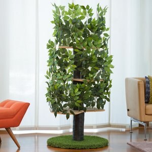 10 Best Cat Trees for Large Cats 2025: According to Reviews | Chewy