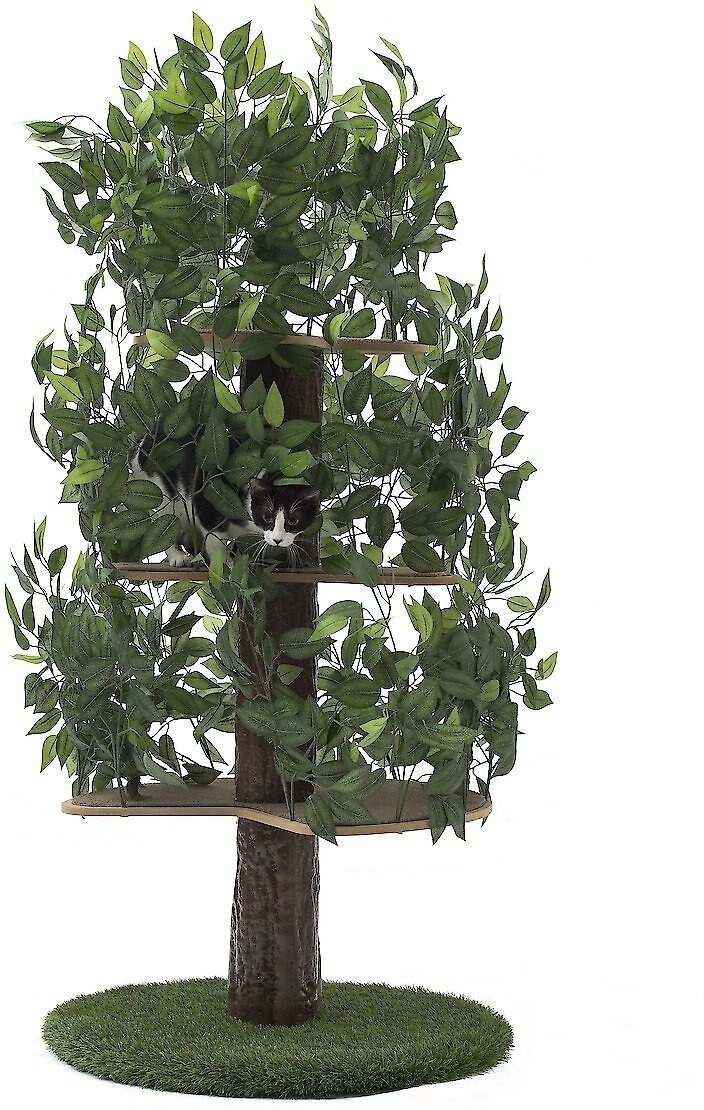 ON2PETS 60-in Large Round Modern Cat Tree, Green - Chewy.com