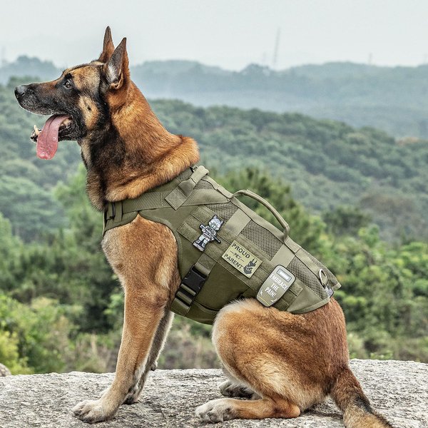 ONETIGRIS AIRE Nylon Mesh No Pull Dog Harness, Ranger Green, Medium: 16 ...