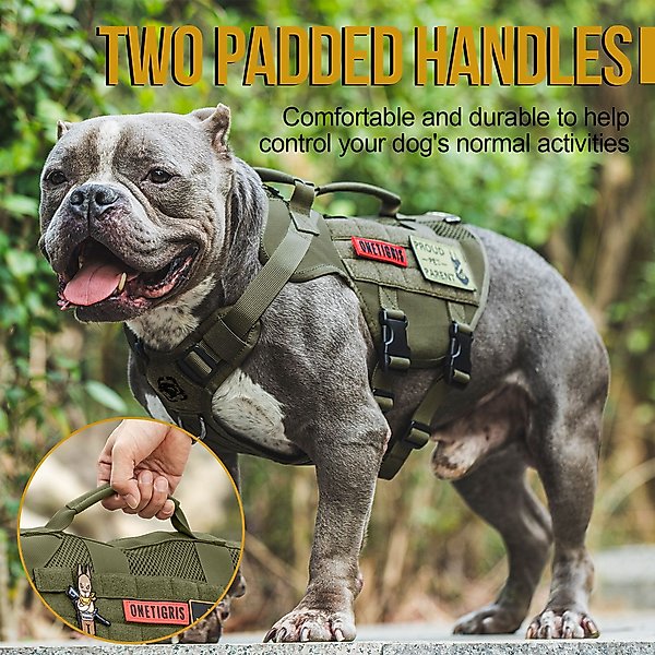 RUFFWEAR Flagline Front-Clip Dog Harness, Lichen Green, Large/X-Large ...